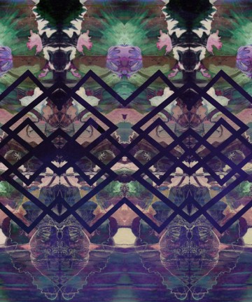 Liz Brizzi: Artist Interview - Aaryn West